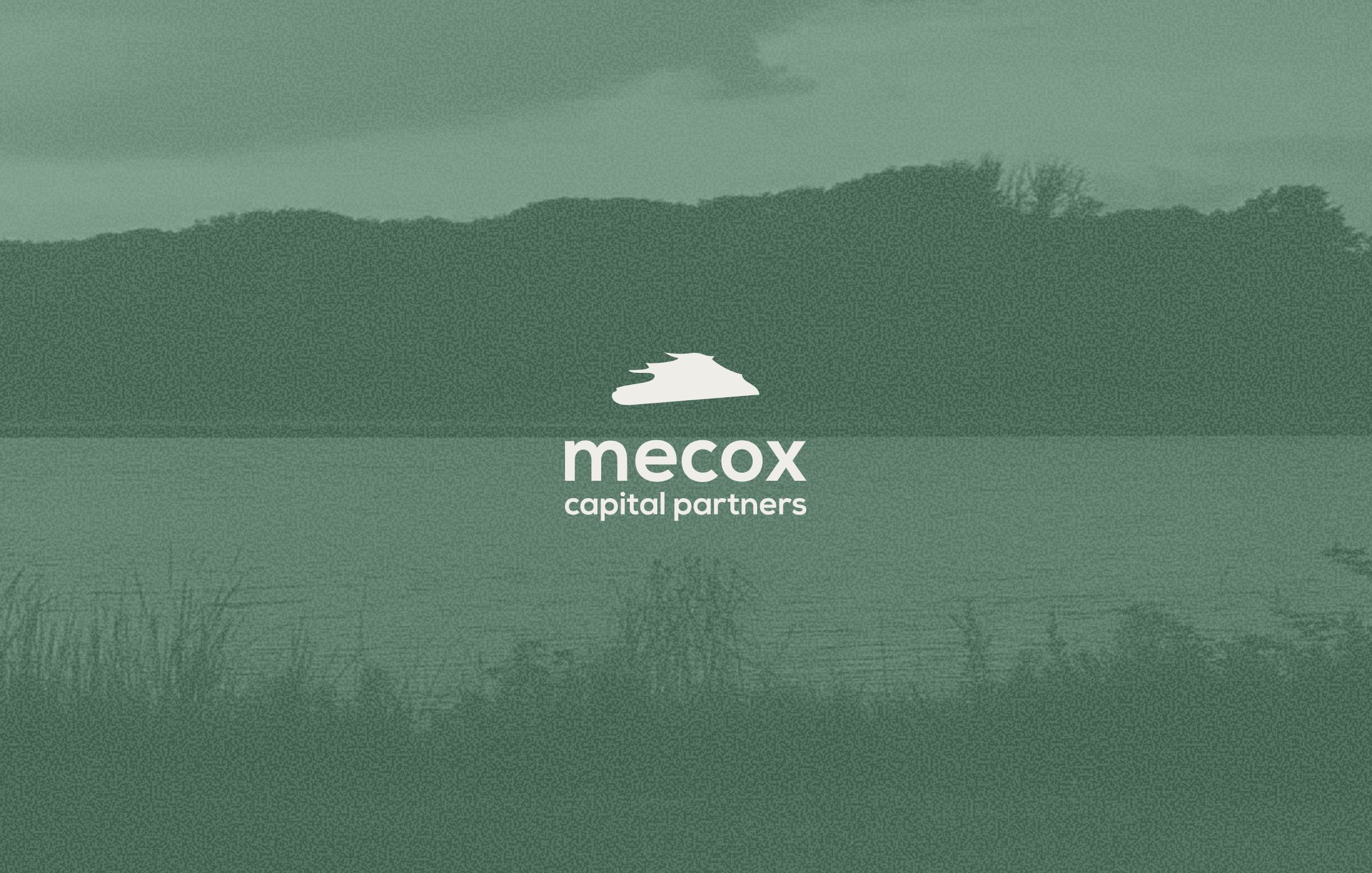 Mecox Capital Partners | Mecox Capital Partners